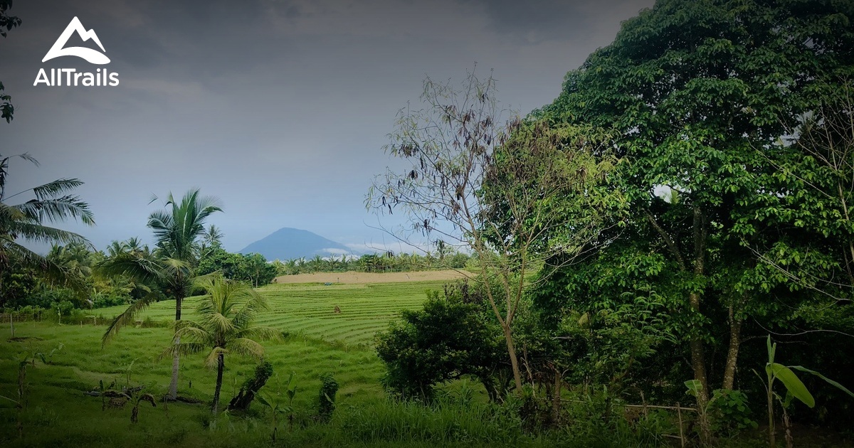 10 Best trails and hikes in Tabanan | AllTrails