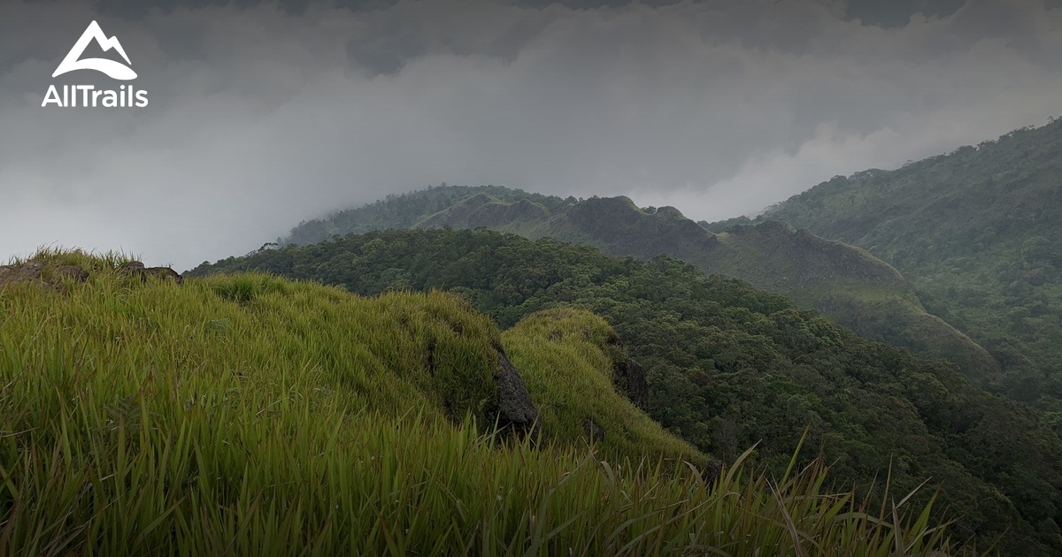 Best forest trails in Semarang | AllTrails