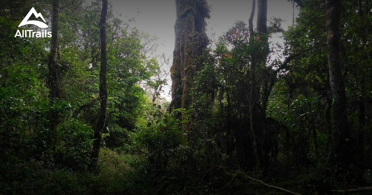 2023 Best Camping Trails in Batu | AllTrails