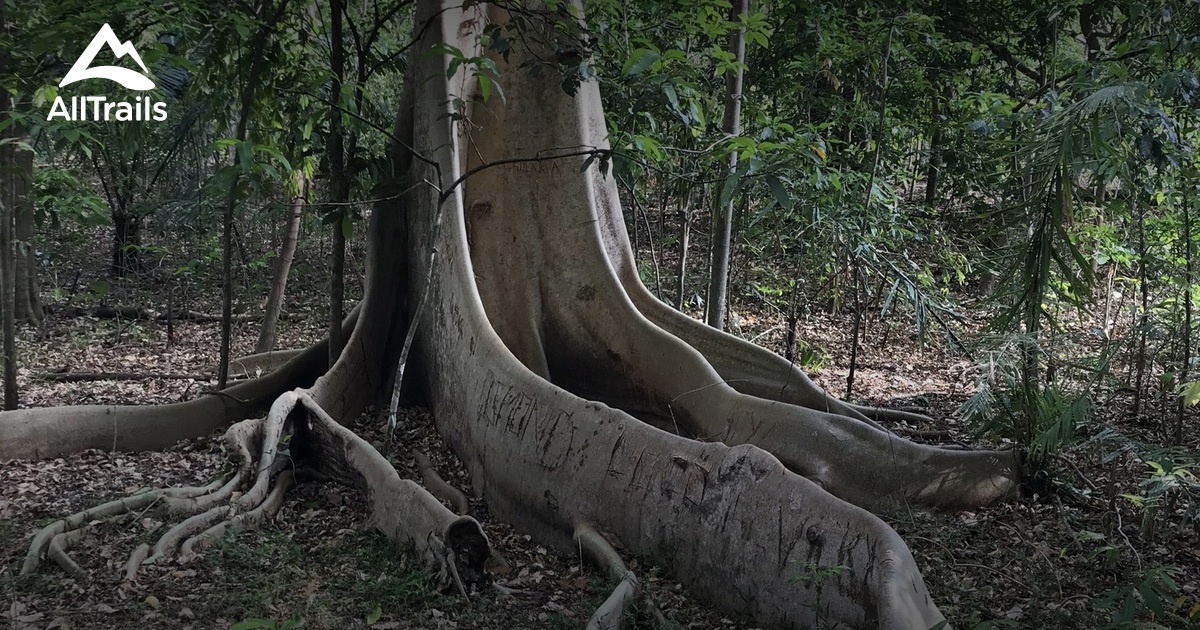 Best beach trails in Bitung | AllTrails