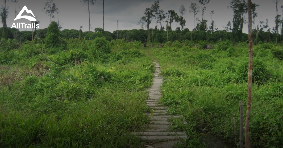 Best walking trails in Bengkalis | AllTrails