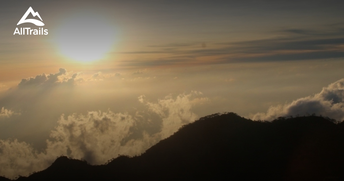 Best hikes and trails in Gowa | AllTrails