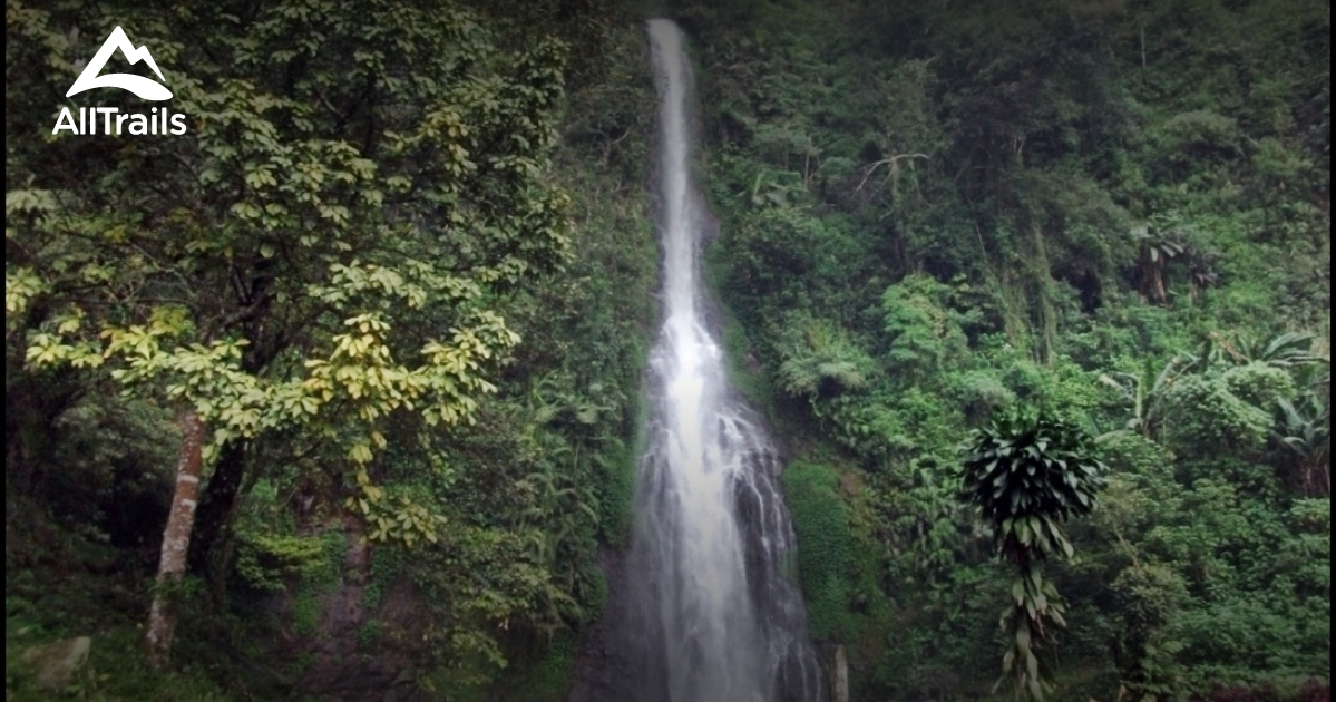 Best hikes and trails in Subang | AllTrails