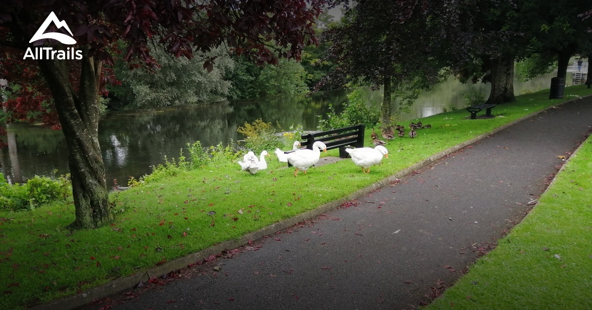 Best Trails, Walks, and Paths in Leighlinbridge | AllTrails