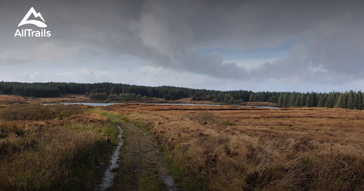 Best hikes and trails in Tulla | AllTrails