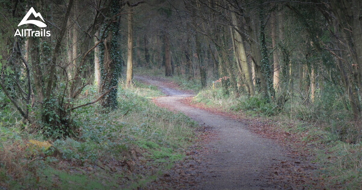 Best walking trails in Ballyhooly | AllTrails