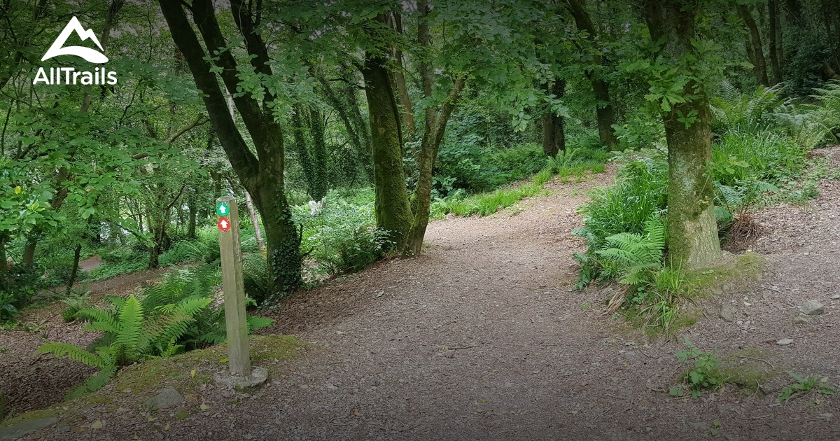 Best trails in Carrigaline, County Cork | AllTrails