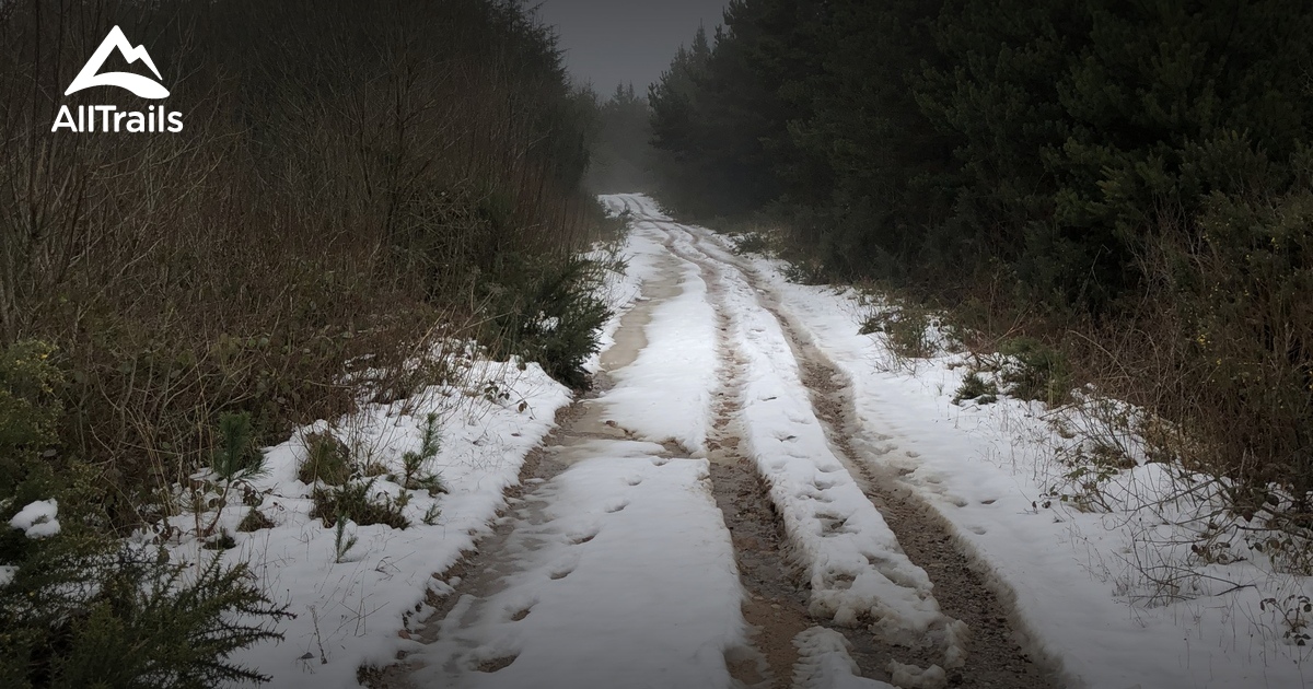 Best hikes and trails in Castletownroche | AllTrails