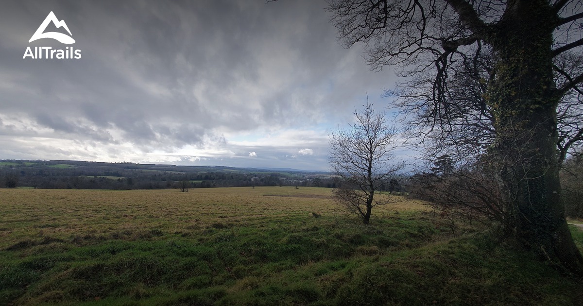 Best forest trails in Doneraile | AllTrails