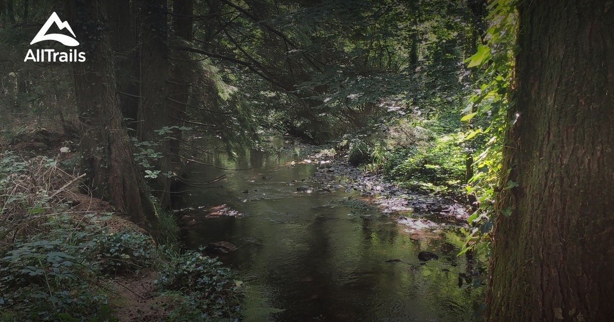 Best hikes and trails in Killeagh | AllTrails