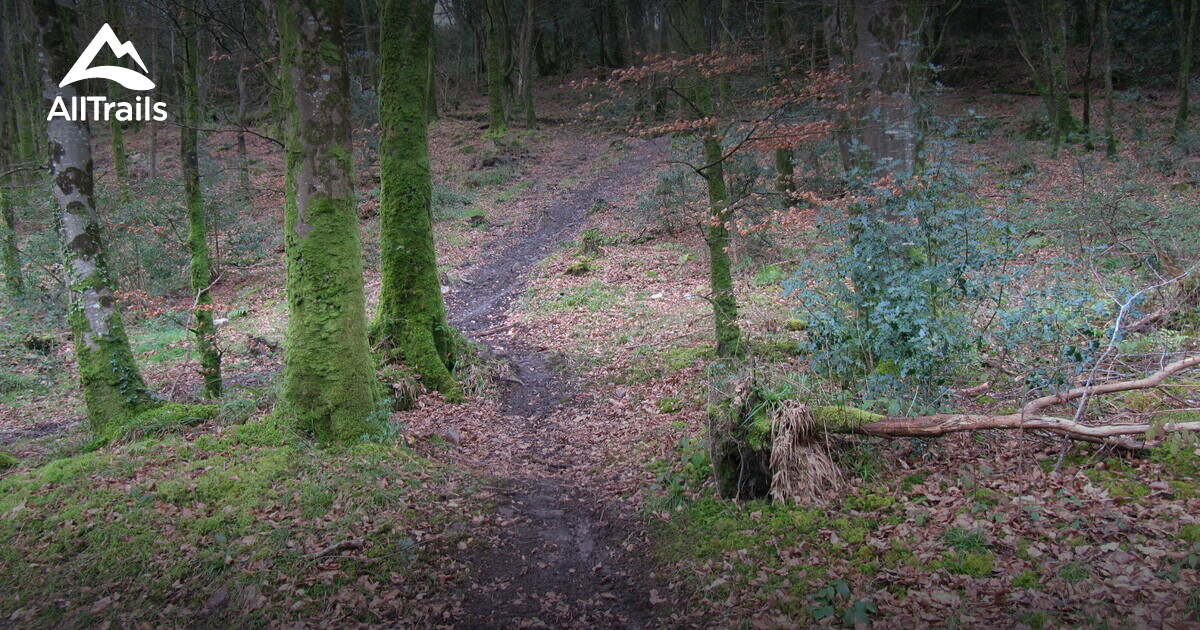 Best views trails in Mallow | AllTrails