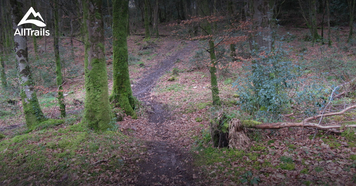 Best Trails near Mayfield, County Cork Ireland | AllTrails