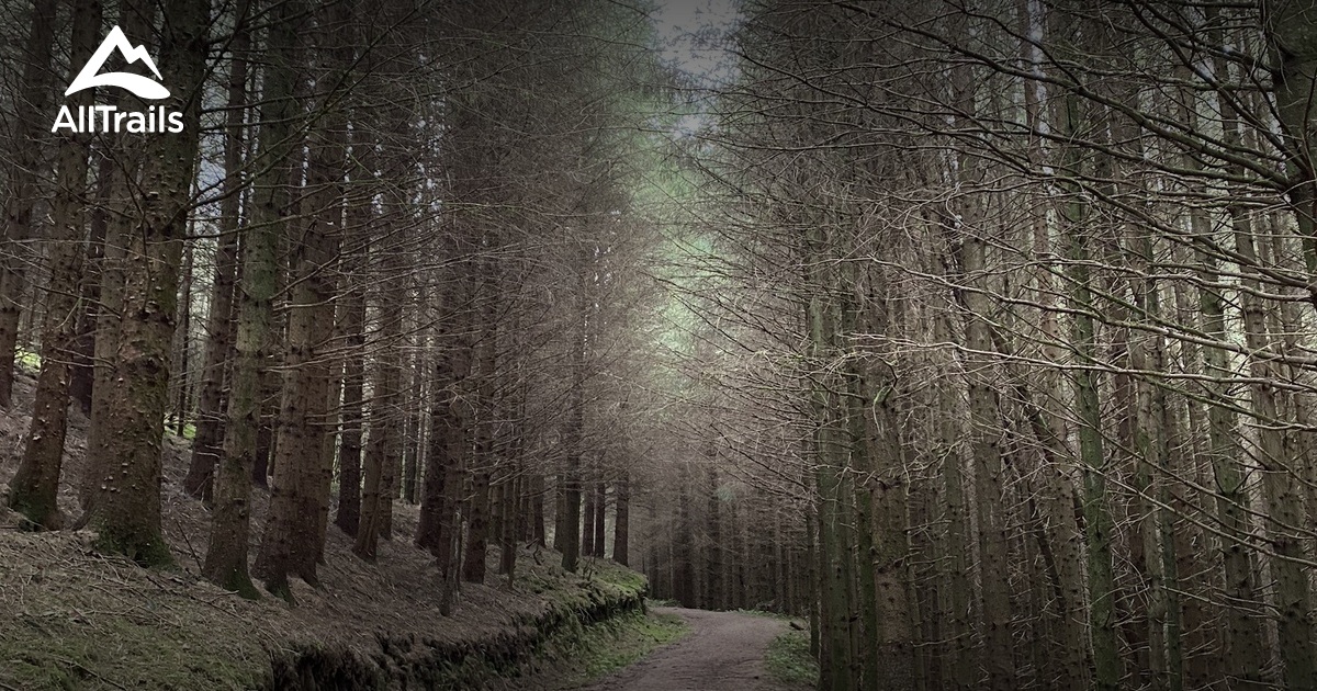 Best hikes and trails in Mitchelstown | AllTrails