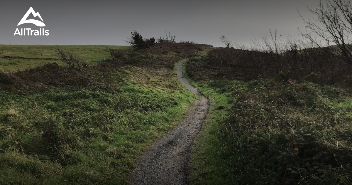 Best forest trails in Rathbarry | AllTrails