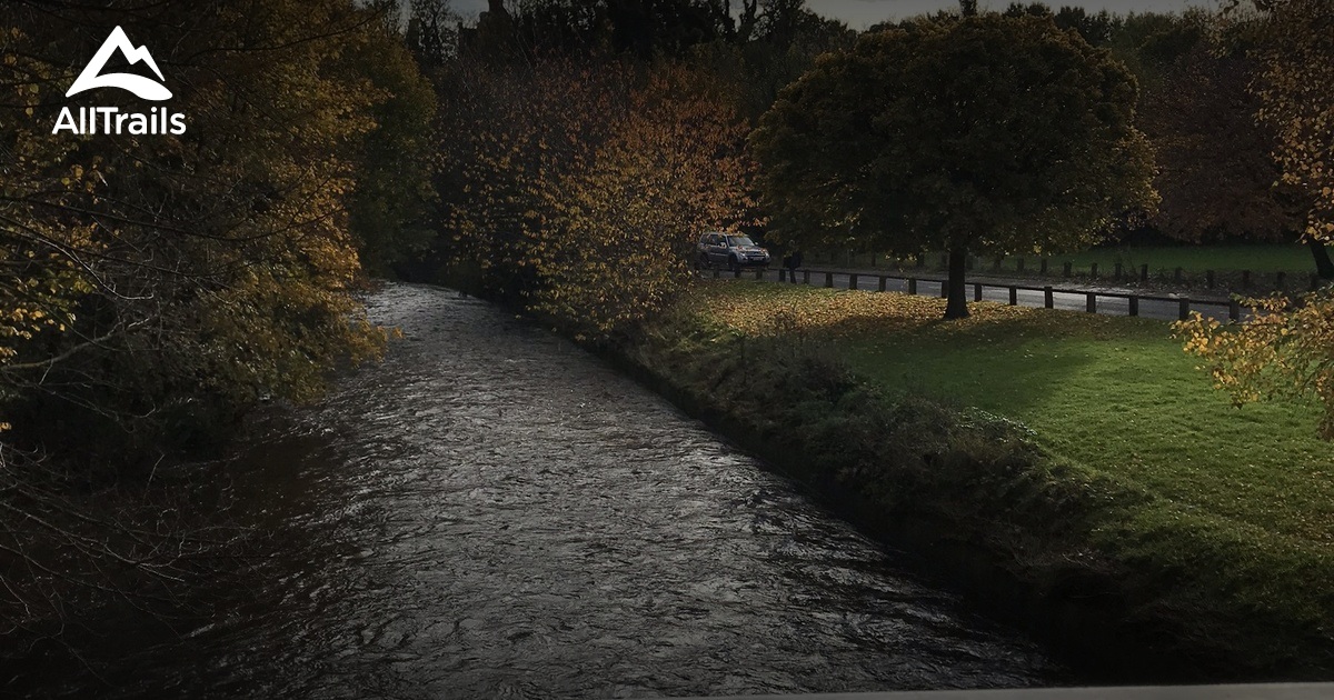 Best forest trails in Dublin | AllTrails