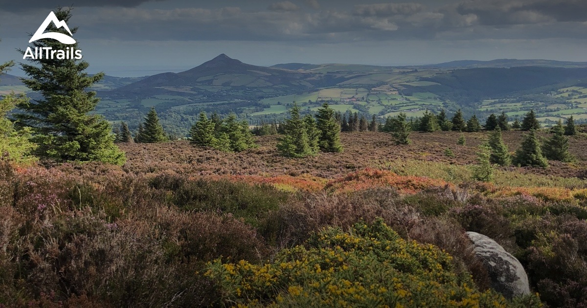10 Best walking trails in Glencullen | AllTrails