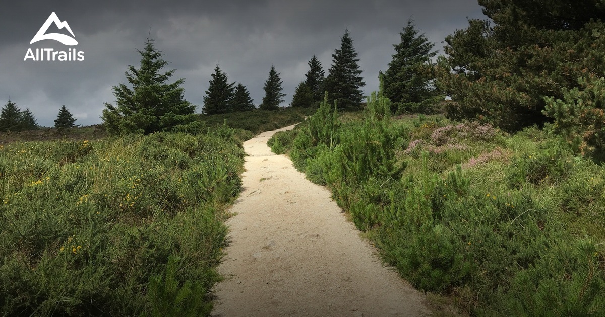 Best views trails in Tallaght | AllTrails
