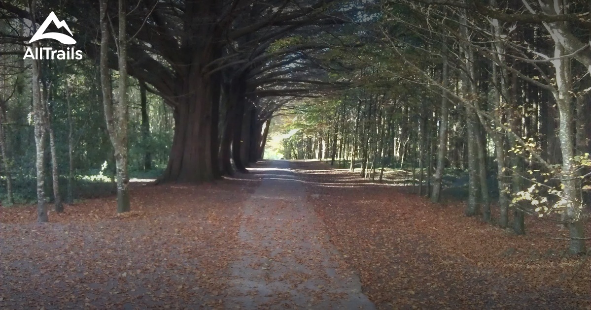 Best hikes and trails in Gort | AllTrails