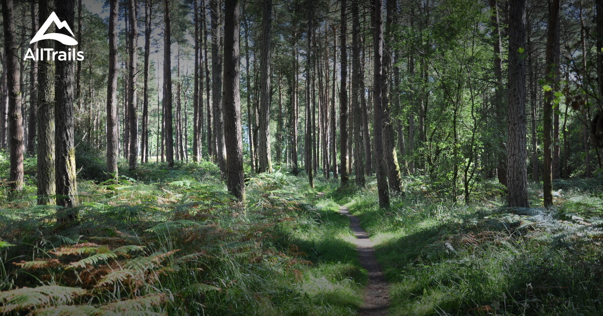 Best lake trails in Portumna | AllTrails