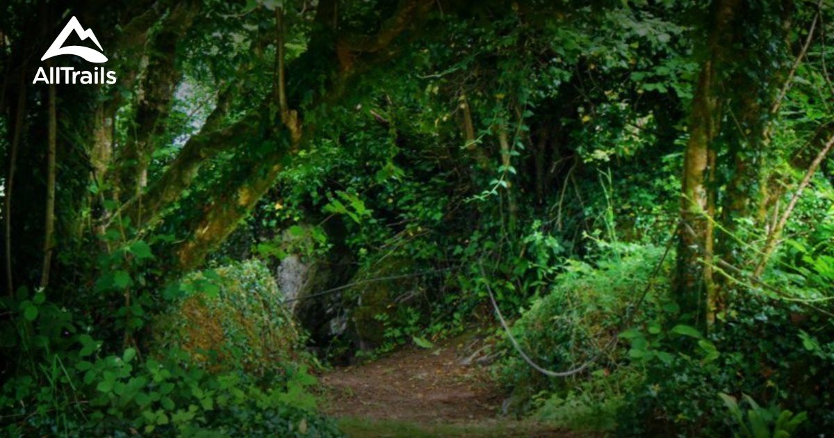Best hikes and trails in Wormhole | AllTrails