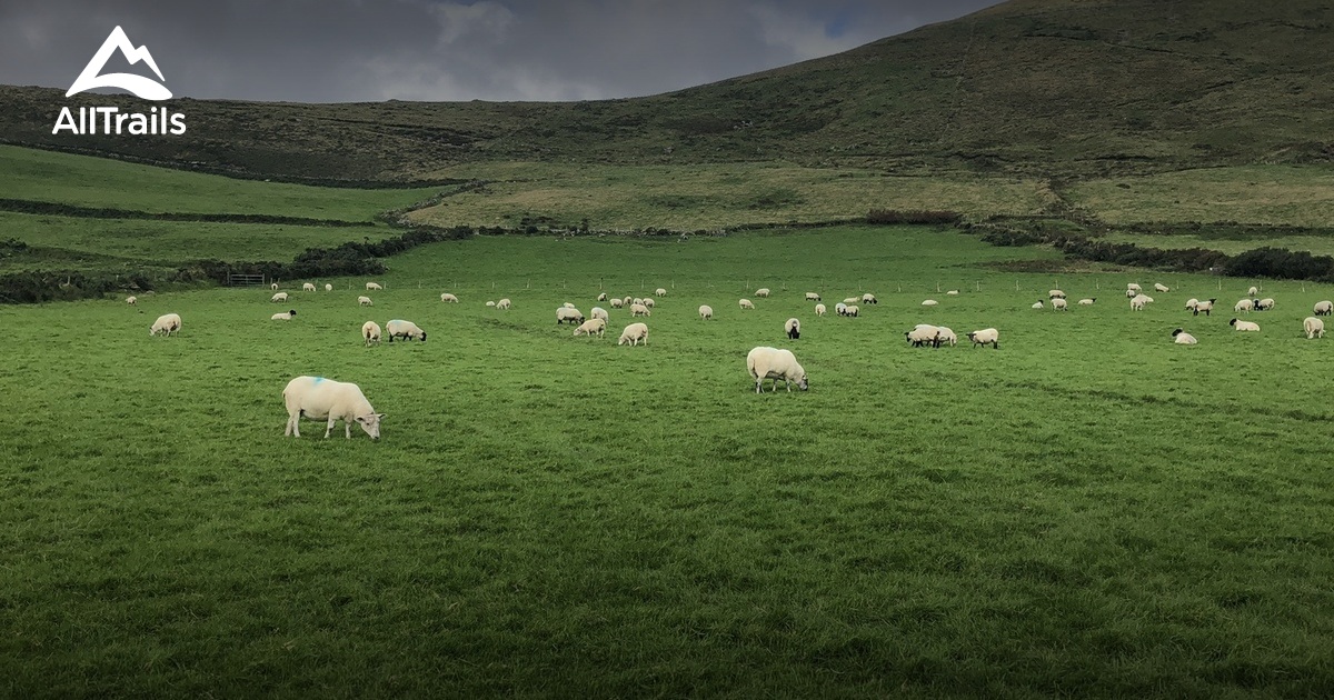 Best hikes and trails in Anascaul | AllTrails