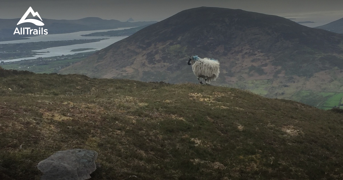 Best hikes and trails in Cahersiveen | AllTrails
