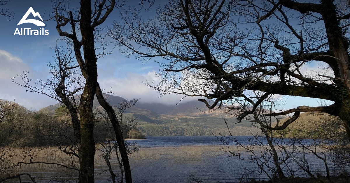 Best hikes and trails in Carker | AllTrails