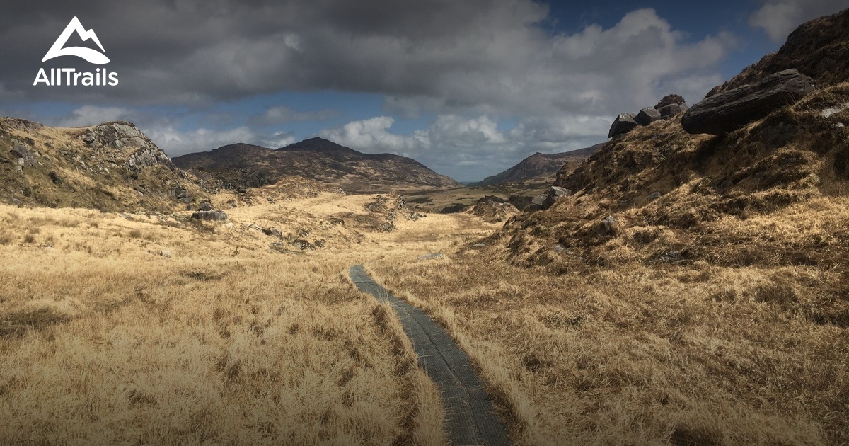 Best Forest Trails in Kenmare | AllTrails