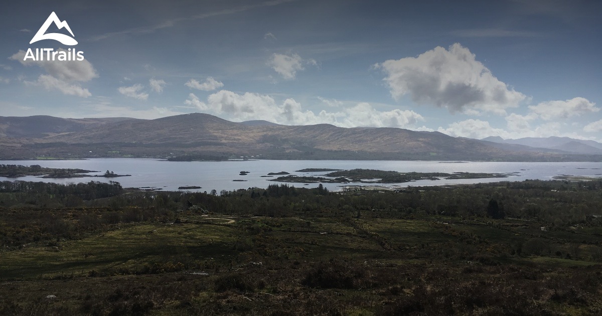 Best walking trails in Waterville | AllTrails