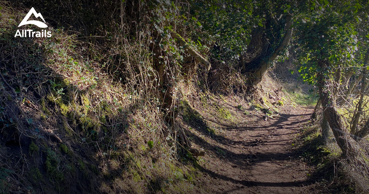 Best hikes and trails in Ballymore Eustace | AllTrails