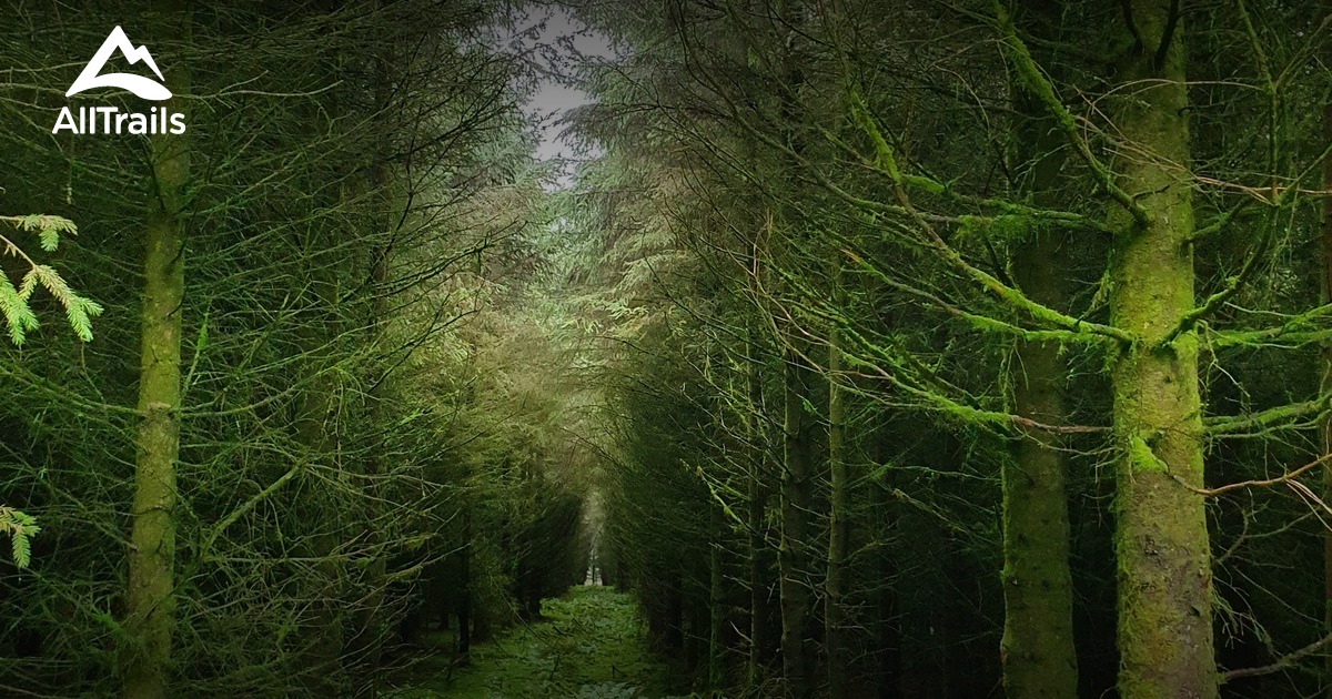 Best hikes and trails in Kilteel | AllTrails