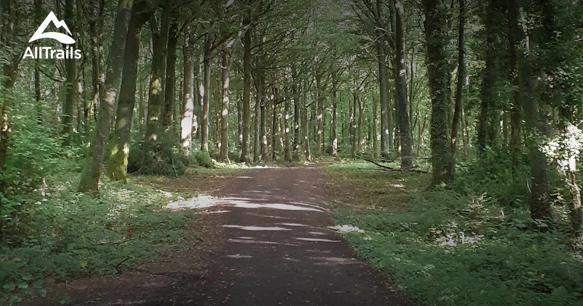 Best hikes and trails in Monasterevin | AllTrails