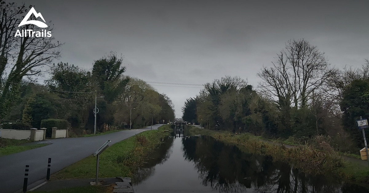 Best hikes and trails in Naas | AllTrails