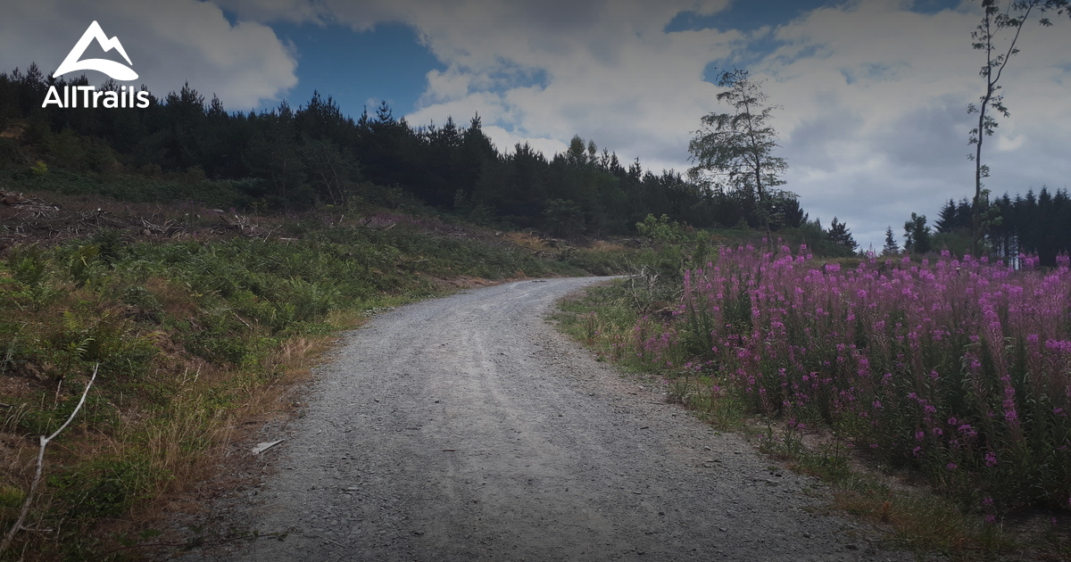 Best Trails near Mullinavat, County Kilkenny Ireland | AllTrails