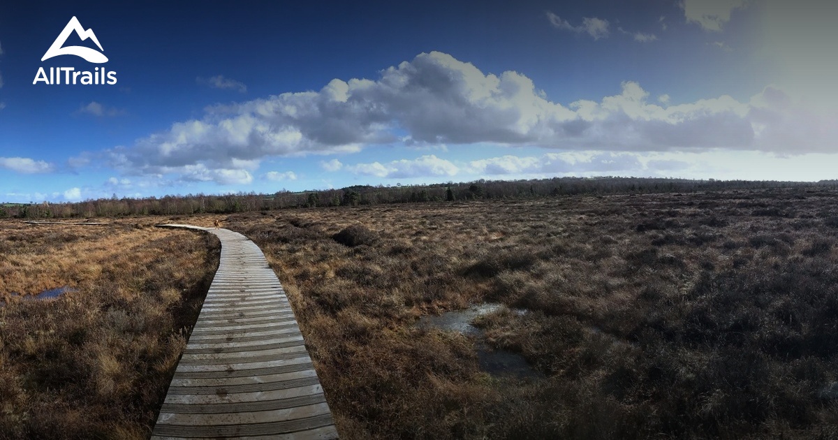 Best hikes and trails in Abbeyleix | AllTrails