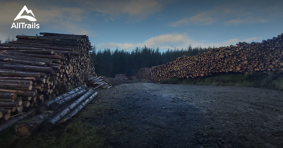 2023 Best Trails, Walks, and Paths in Cardtown | AllTrails