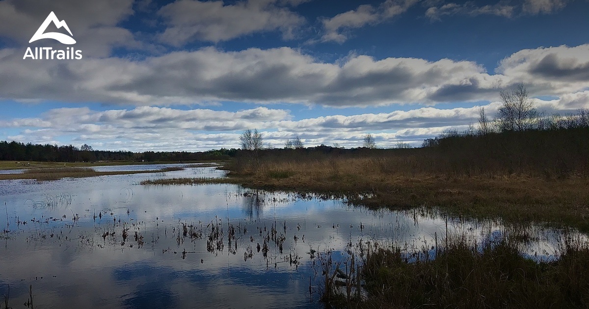 2023 Best Trails, Walks, and Paths in Portarlington | AllTrails