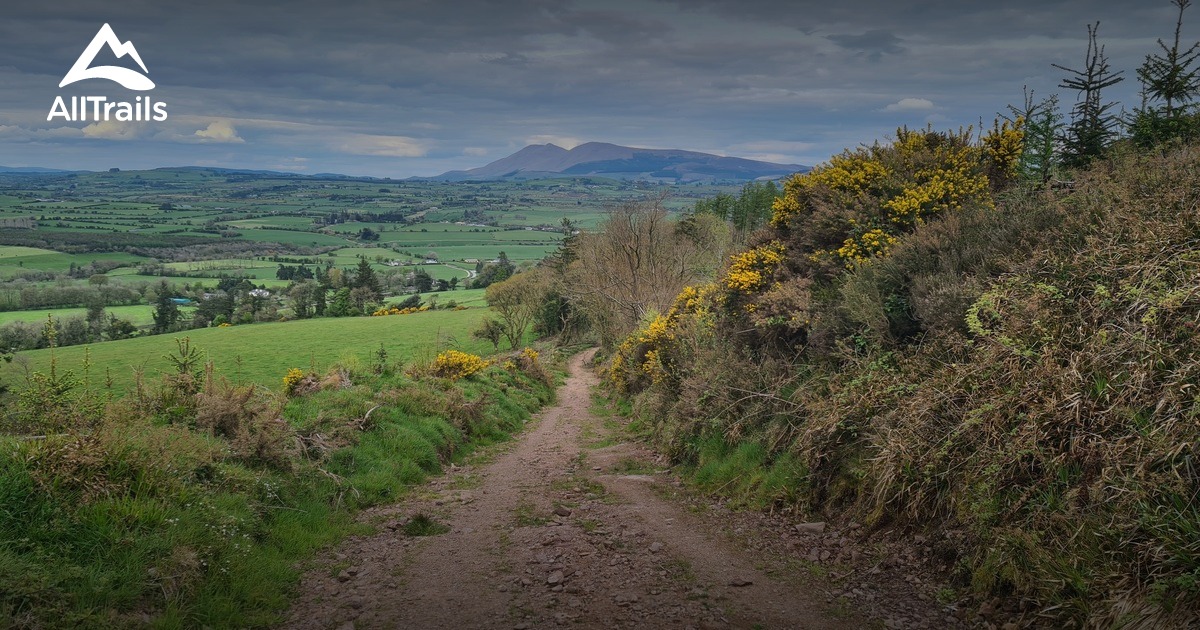Los mejores senderos largas en Darragh | AllTrails