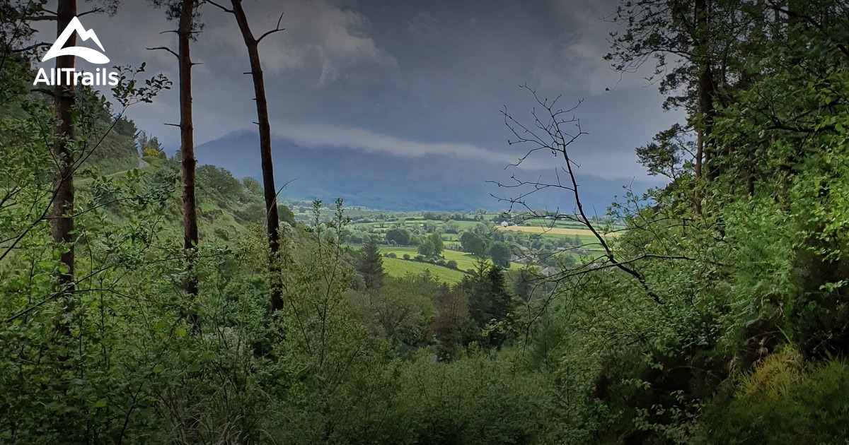 Best hikes and trails in Galbally | AllTrails