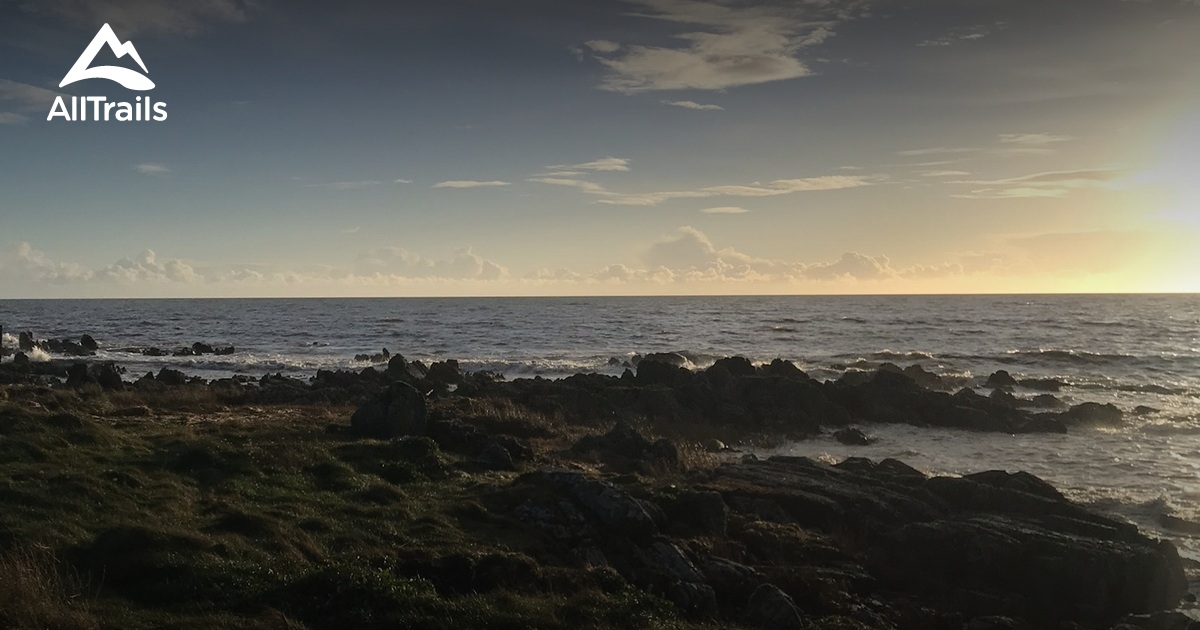 Best beach trails in Termonfeckin | AllTrails