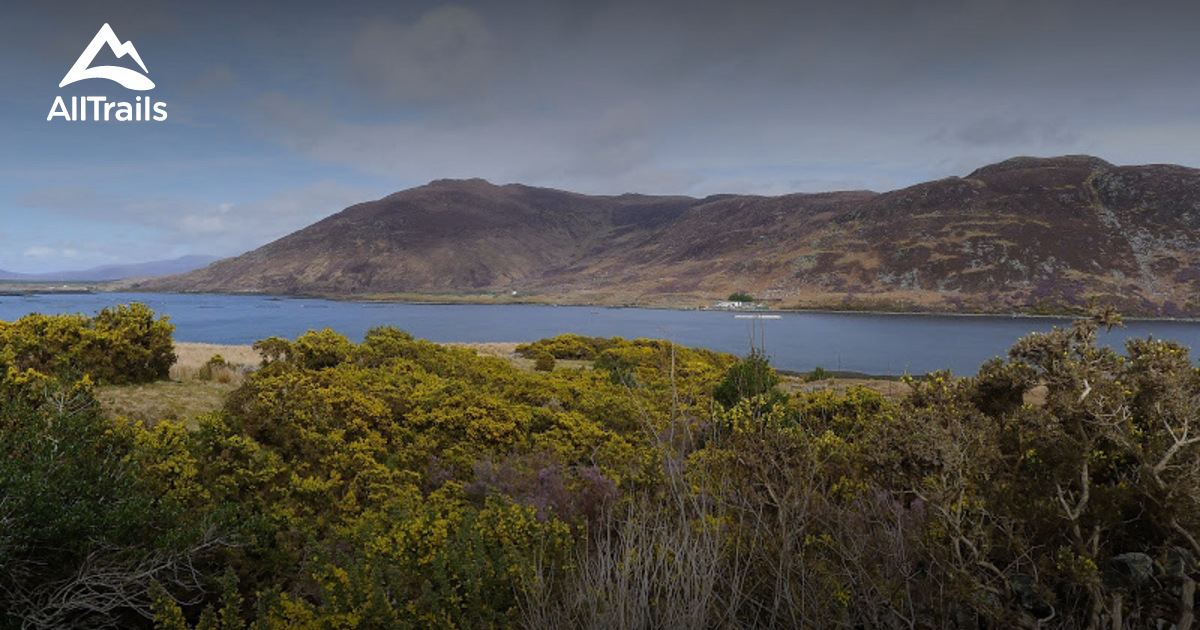 Best river trails in Newport | AllTrails