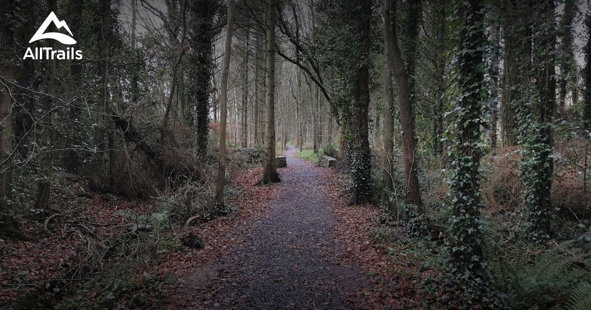 Best river trails in Slane | AllTrails