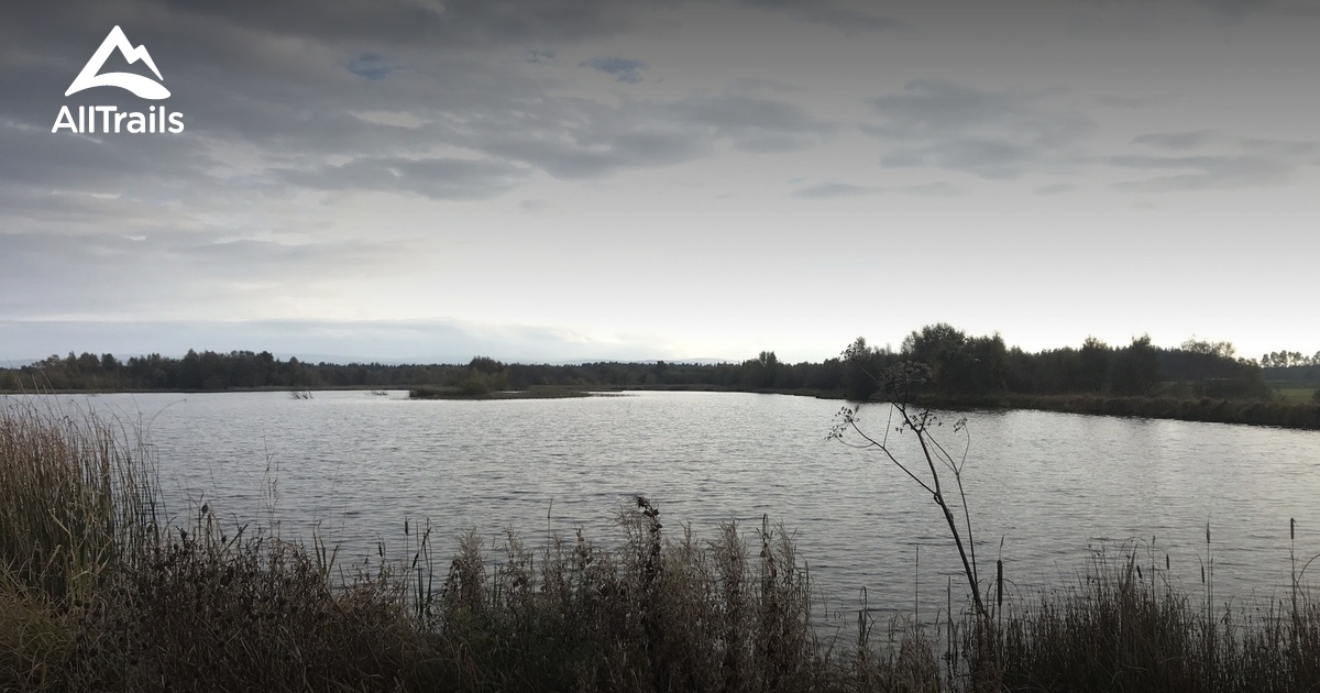 Best walking trails in Ferbane | AllTrails