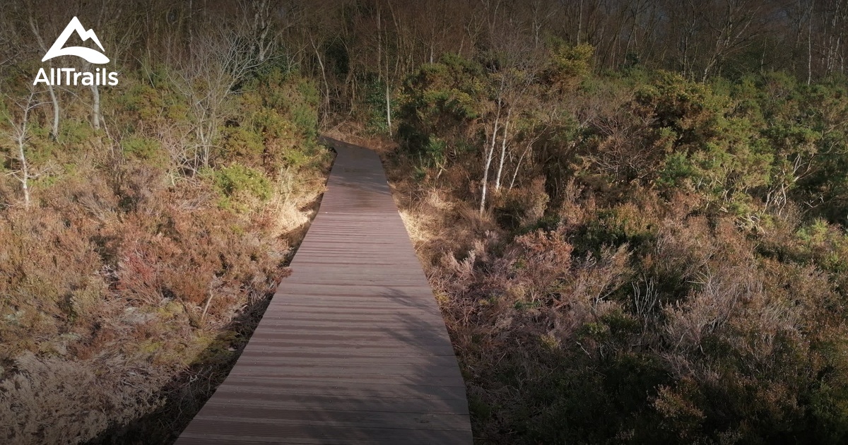Best hikes and trails in Killyon | AllTrails