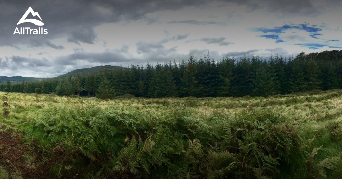 Best historic site trails in Kinnitty | AllTrails