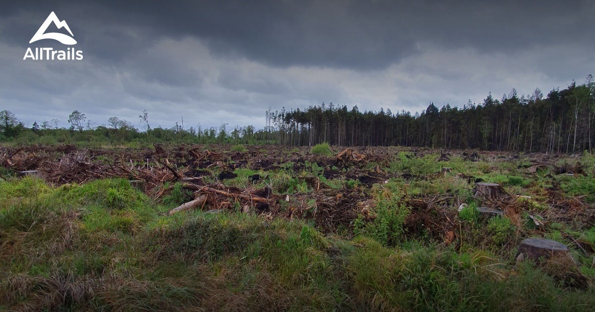 Best wildlife trails in Shinrone | AllTrails