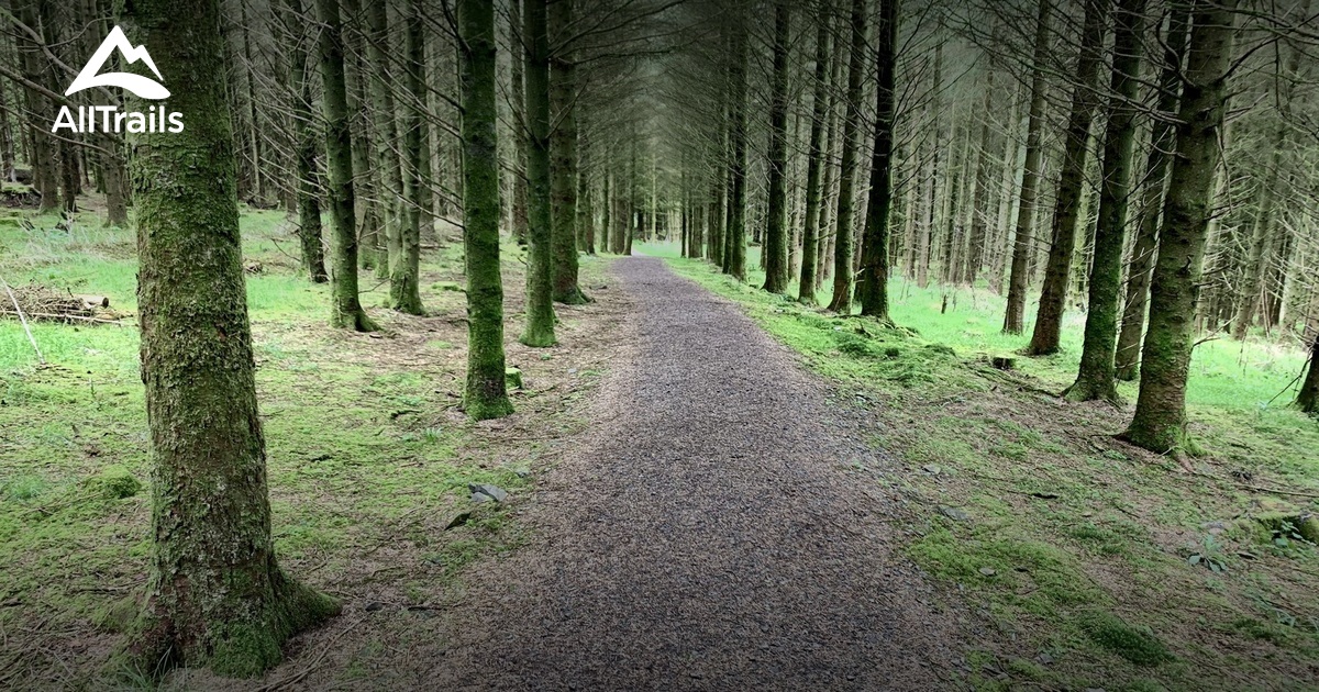 Best Trails, Walks, and Paths in Tulla | AllTrails