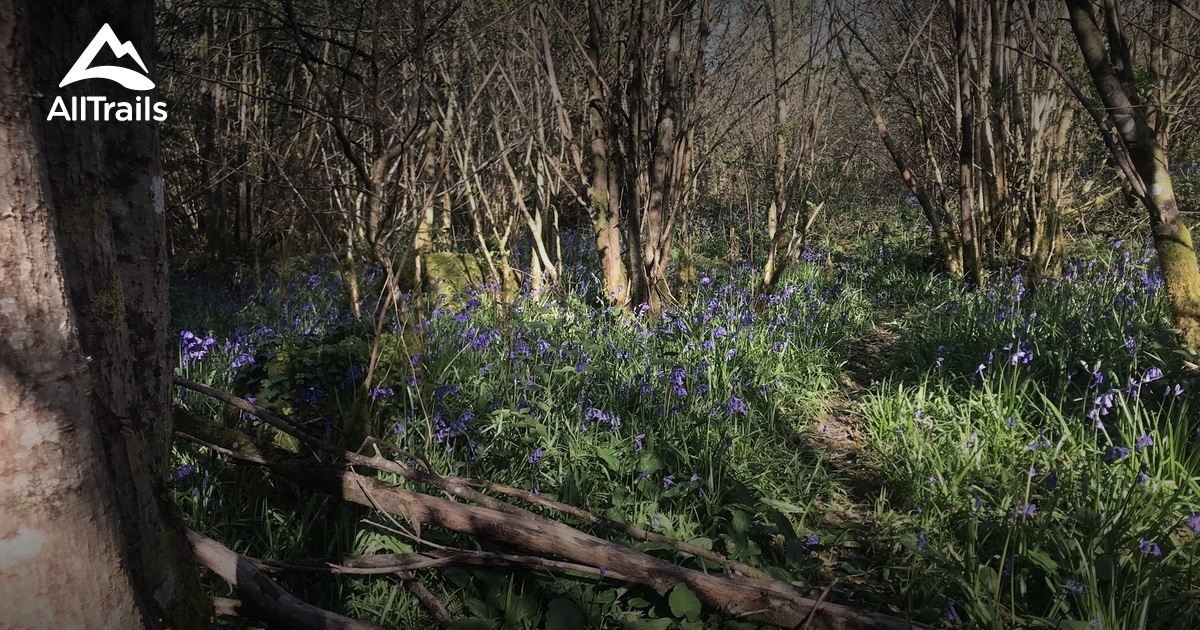 Best Trails, Walks, and Paths in Kilteevan | AllTrails