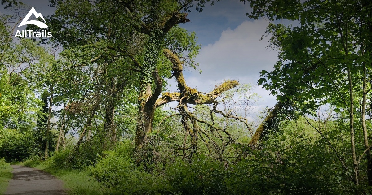 Best hikes and trails in Rockingham | AllTrails