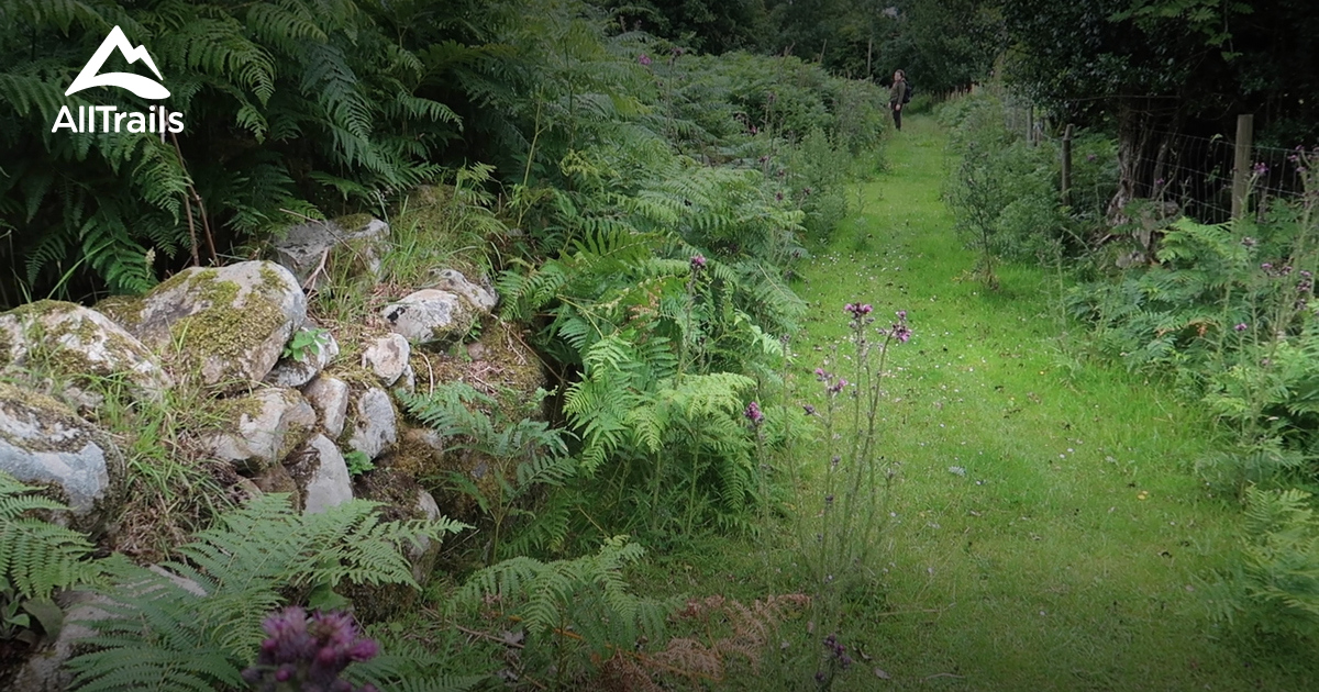 Best hikes and trails in Tumna | AllTrails